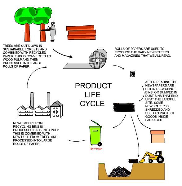 Global Recycling Day! ♻️ – KINDOM